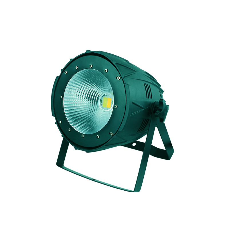 Private Model COB - huataolite